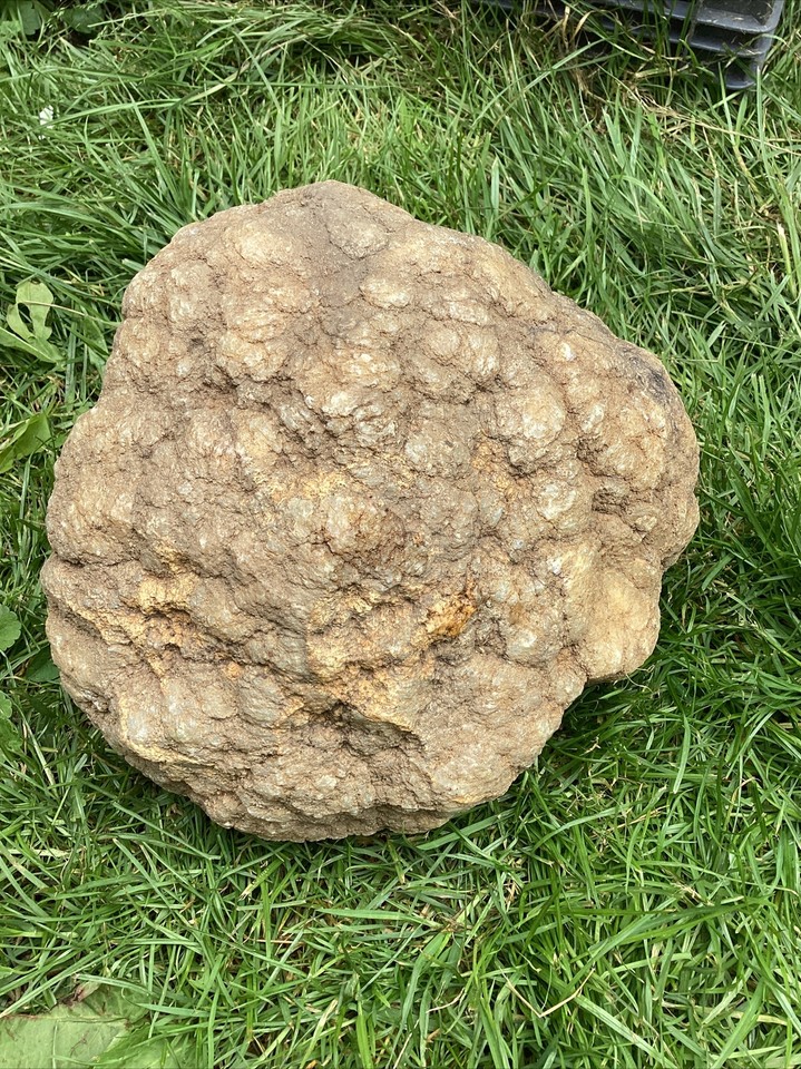 10 Lb + Indiana Geode Crystals , minerals,fossil Intact Jewelry ...