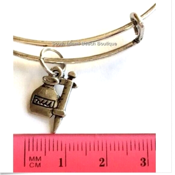 Pharmacist Charm Bracelet Pharmacy Tech Graduation Gift Silver Plated ...