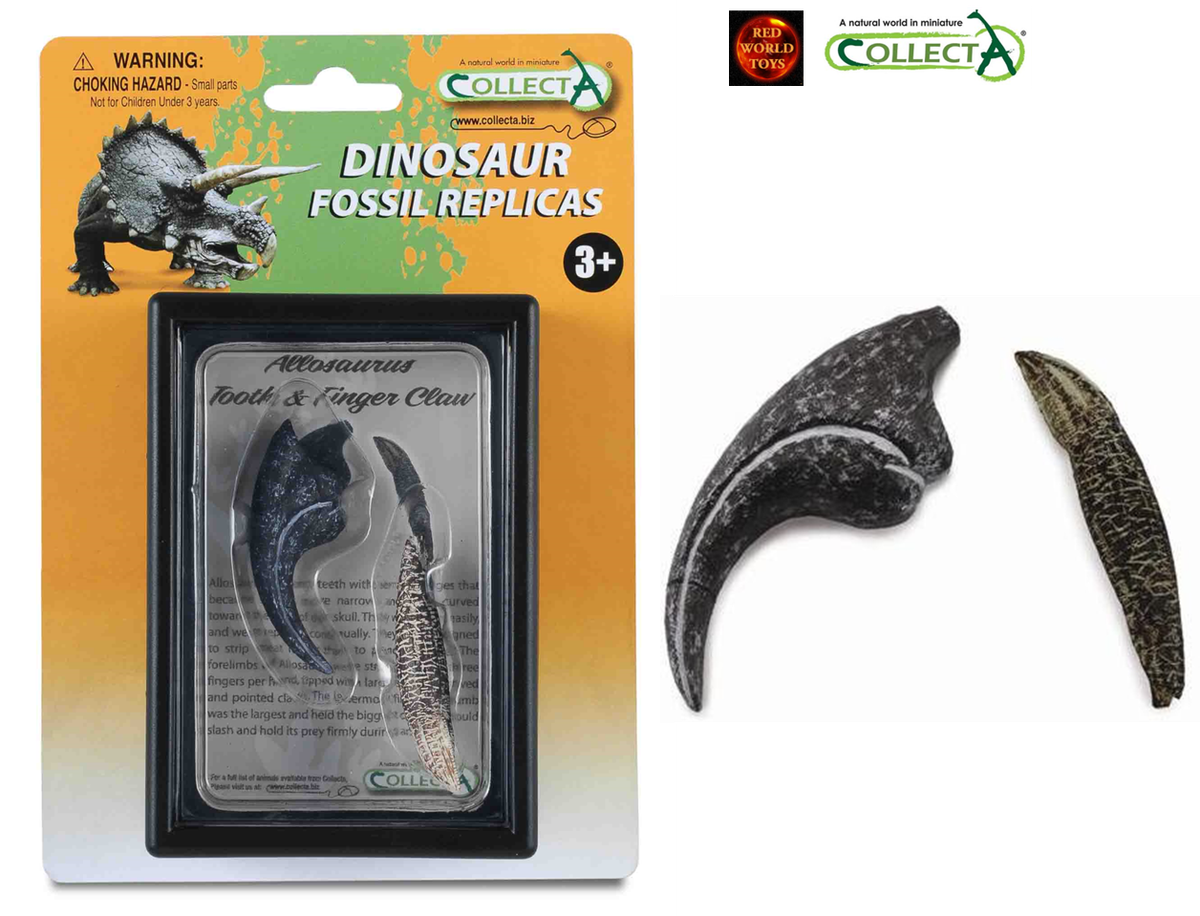 Replica Allosaurus Hand Claw