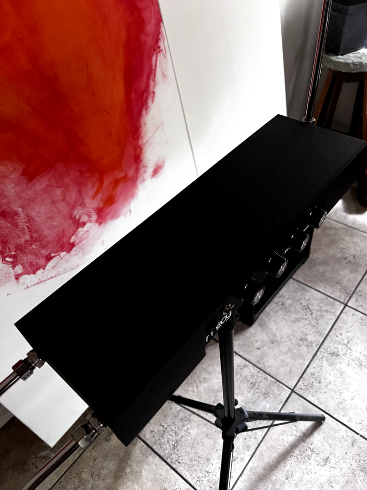 MOOG ETHERWAVE THEREMIN: Black Used. Electric Synth Oldschool Musical ...