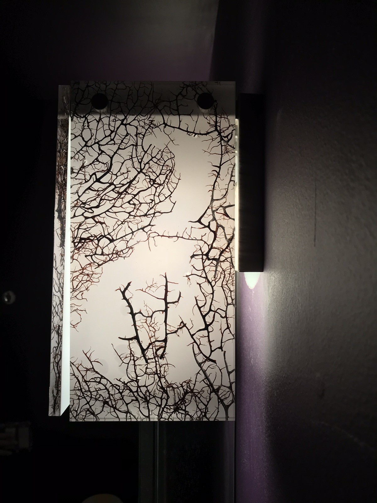 Forecast Lighting Satin Nickel REAL Coral Philips Ecoframe Wall 1 Light ...