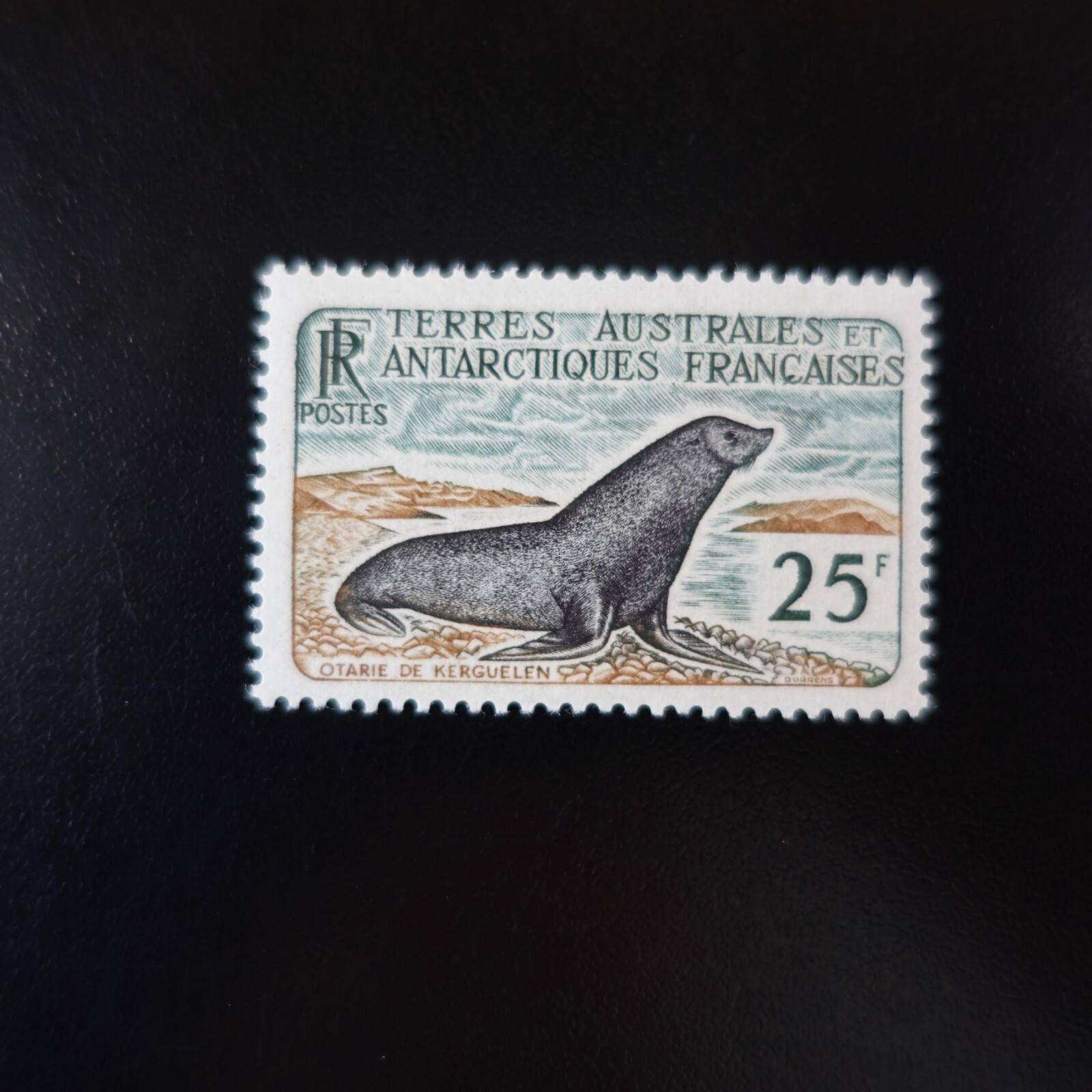 Frankreich TAAF Nr. 16 Seelöwe Kerguelen neuer Stempel Luxus MNH | eBay