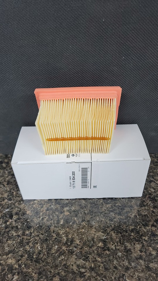 BMW Motorcycle OEM Air Filter - F650 G650 GS/X/CS/ST Single ...