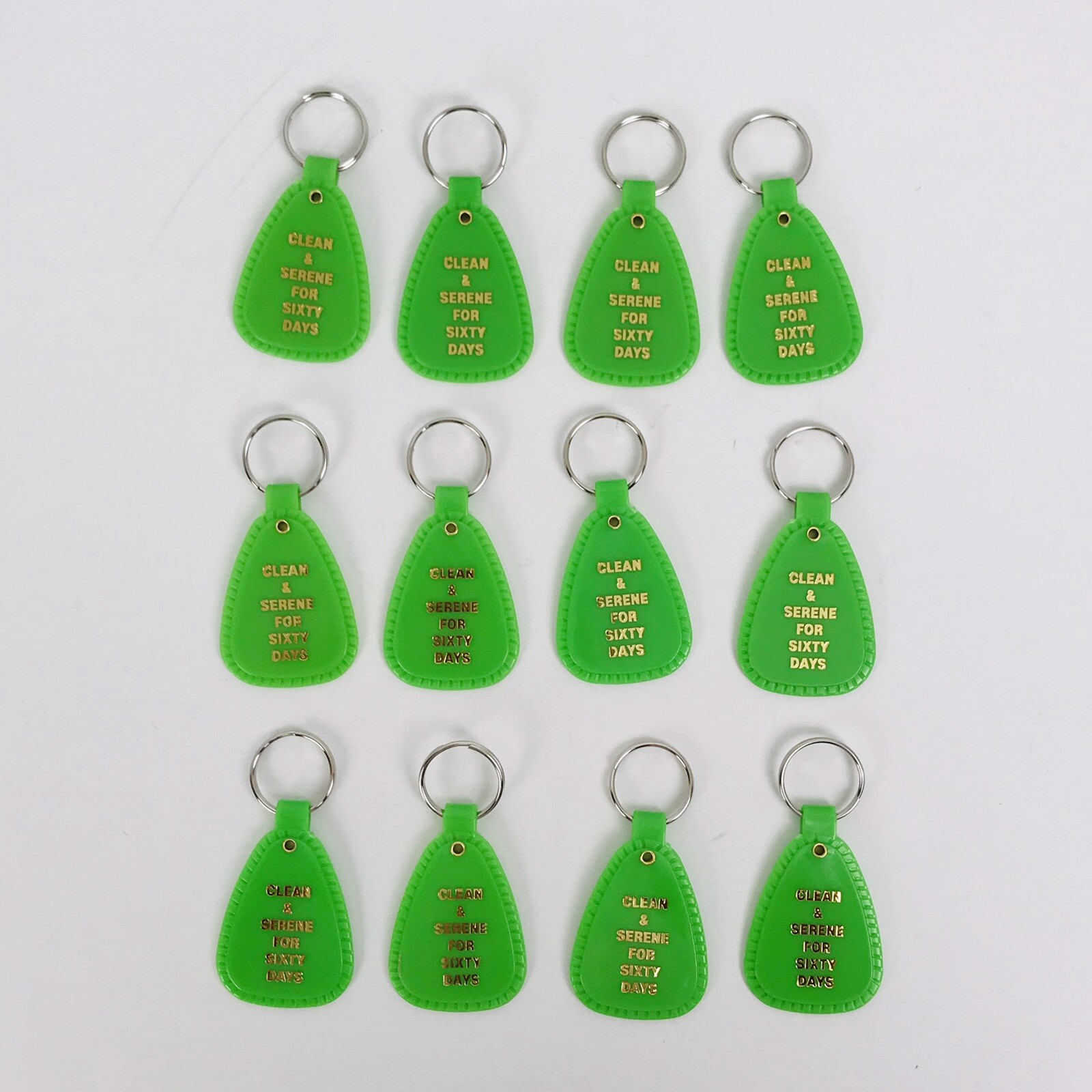 NARCOTICS ANONYMOUS NA KEY TAG Green 60 Days Recovery 12 Piece English ...