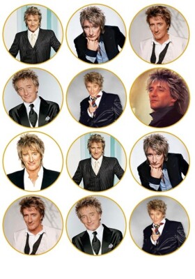24 Rod Stewart Fairy Cake Toppers Edible Party Decorations | eBay