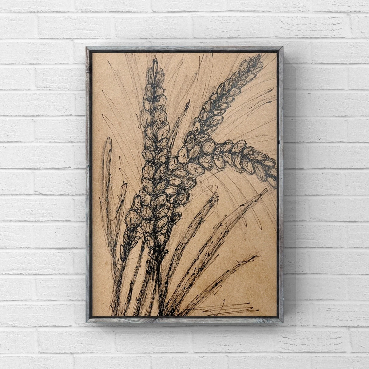 Wheat Drawing