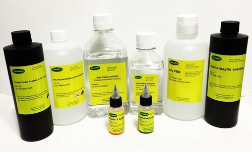 4% Paraformaldehyd (EM Grade) aus tissuepro | eBay