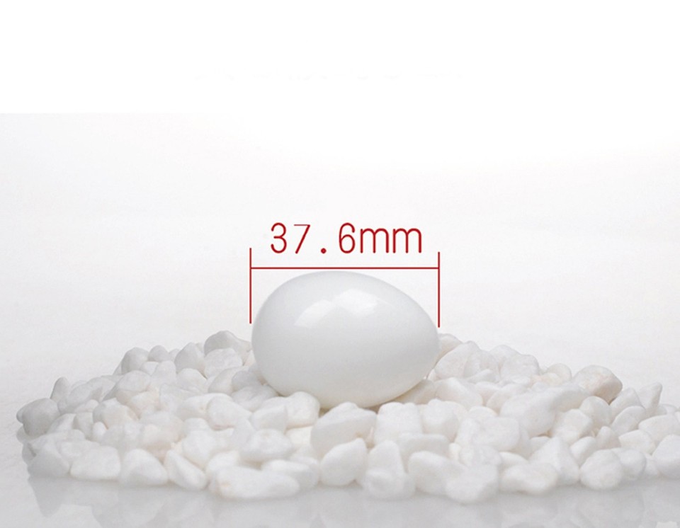 10pcs Solid Plastic Eggs Dummy Eggs For pigeons white color | eBay