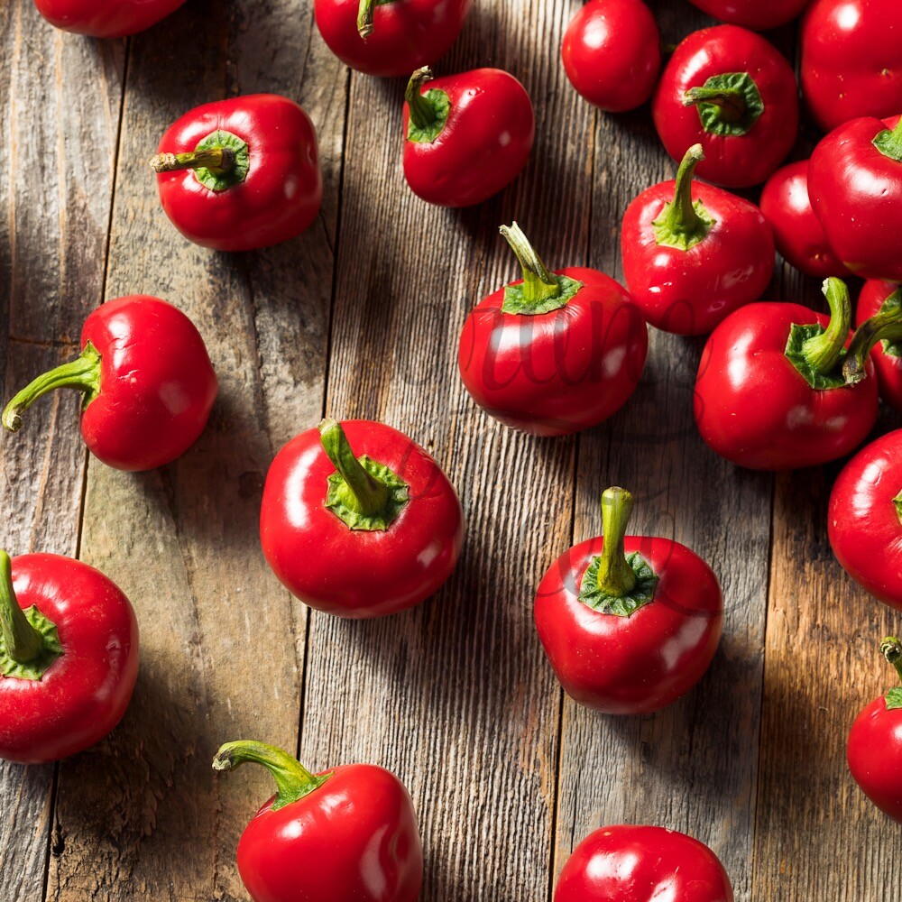 Kirschpaprika 'RED CHERRY' 10 Samen CAPSICUM ANNUUM seeds CHILI Gemüse ...
