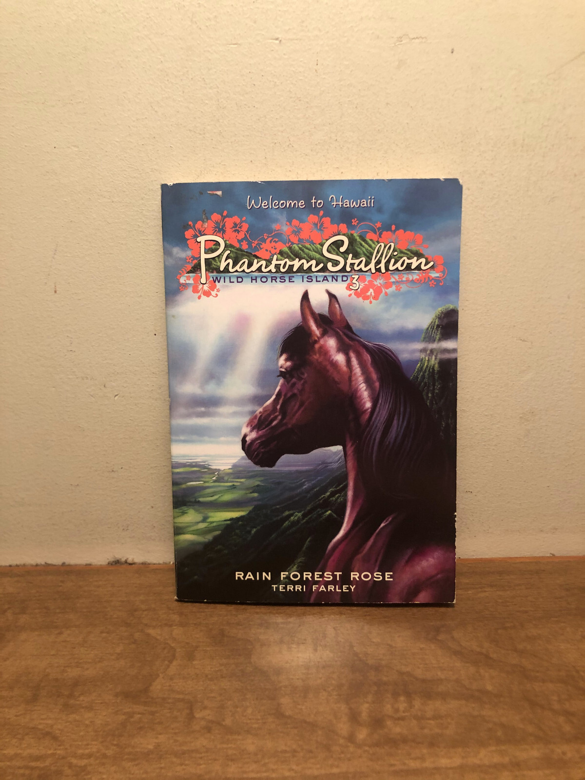 Phantom Stallion Wild Horse Island: Rain Forest Rose Bk. 3 Paperback ...