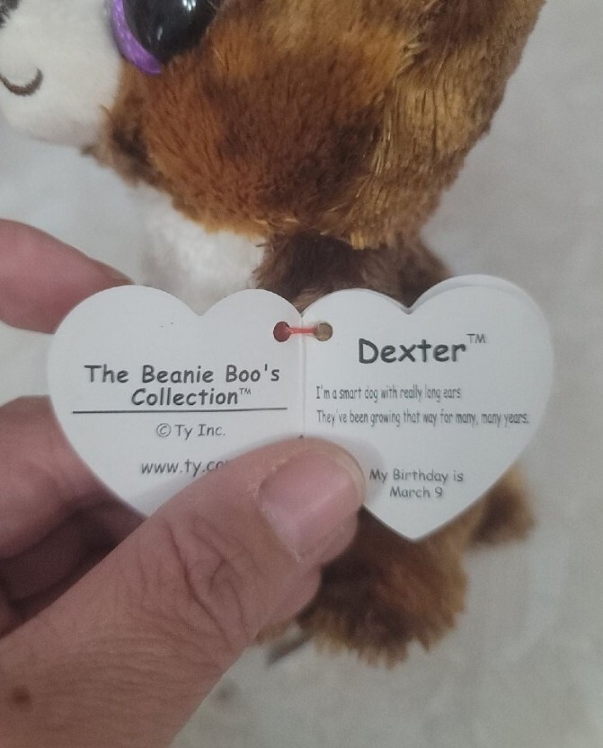 Ty Beanie Boos - Dexter 6" Dog - Mint With Mint Tags | eBay