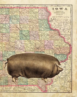 Hog Farmer Vintage Iowa State Map Art Print 4-H FFA Pork Producers ...