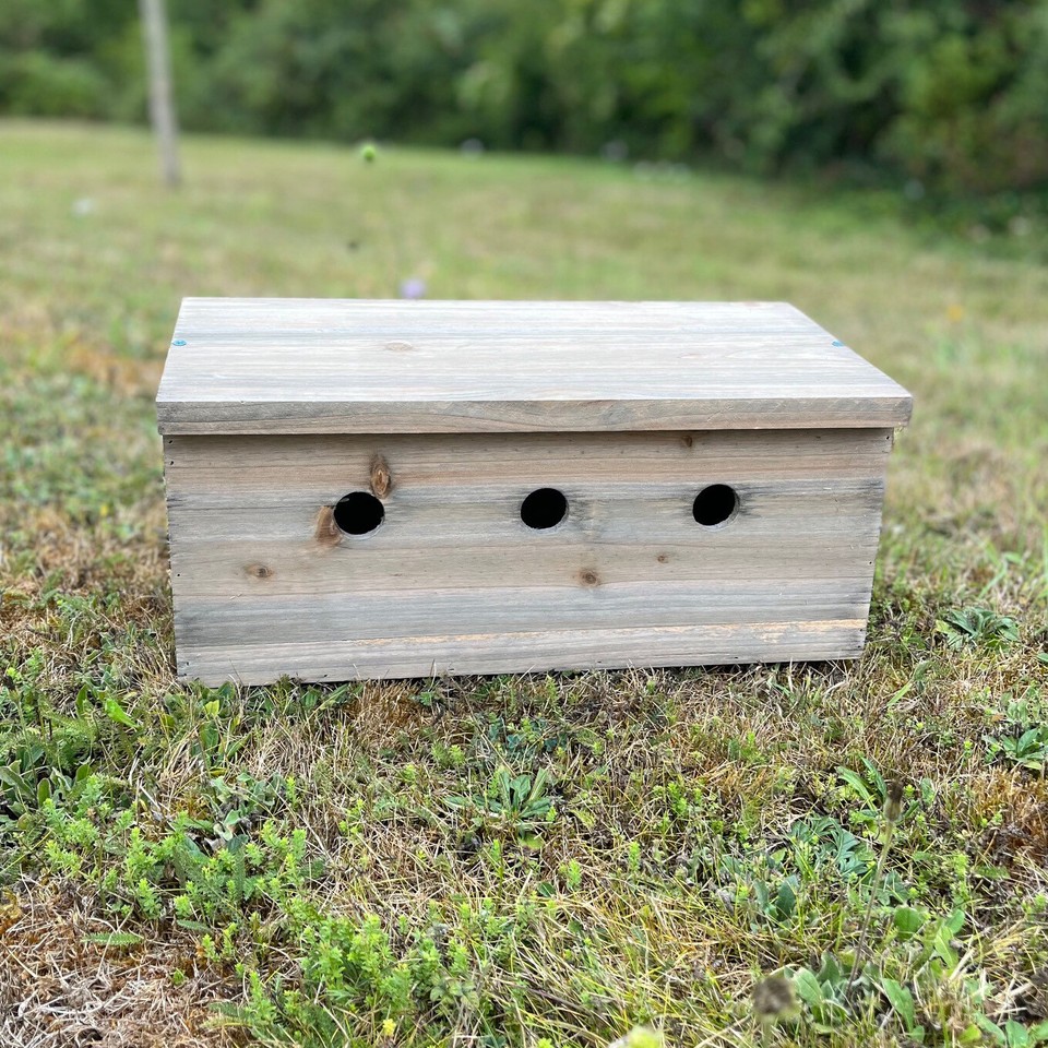 Sparrow Nest Bird Box Terrace Colony House Wooden Roosting Nesting ...