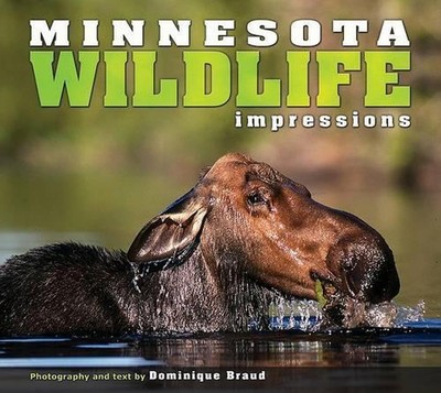 Minnesota Wildlife Impressions by Dominique Braud (English) Paperback ...