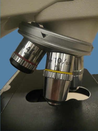 Nikon Labophot Microscope Binocular Biological Microscope w/ 4 ...