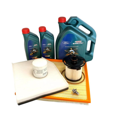 Genuine Ford Transit Custom 2.2 TDCI Full Service Kit Inc Castrol ...