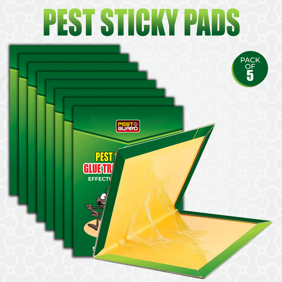 Pest Sticky Boards 5x Glue Traps Pads Multi-Use Sticky Boards for Home ...