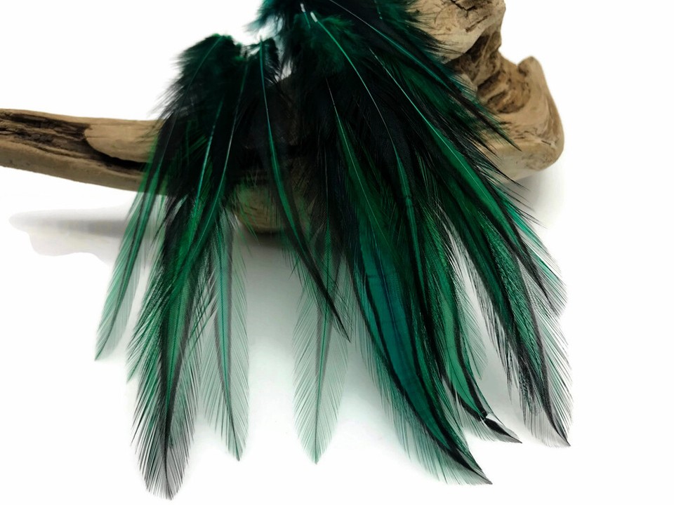 10 Pieces - Peacock Green Dyed BLW Laced Long Rooster Cape Whiting ...
