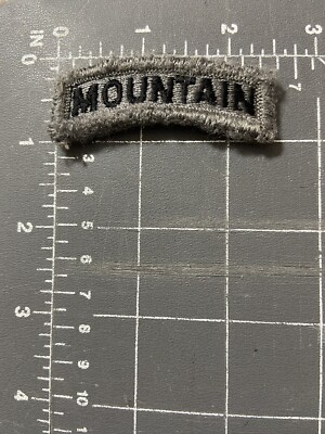 Vintage United States Army 10th Mountain Division Patch US ACU Tab New ...