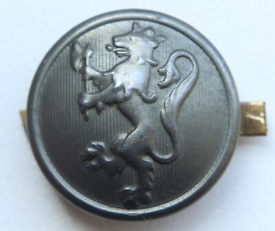 WWII WW2 Norway Norge R.A.F Offices Forage Cap Badge With Lion | eBay