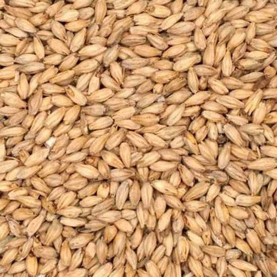 Rahr 6-Row Malt 1-2 lbs. - crushed or uncrushed -Freshest malts on eBay ...