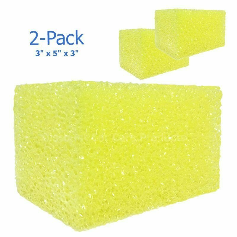 Bug Block Scrubber Sponge 3"x5"x3" | Bugs, Tar, Bird Droppings, Tree ...