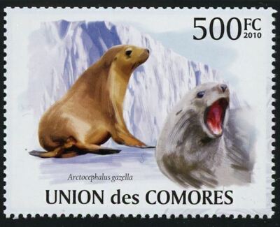 Fur Seal Marine Fauna Individual Stamp Mint NH | eBay UK