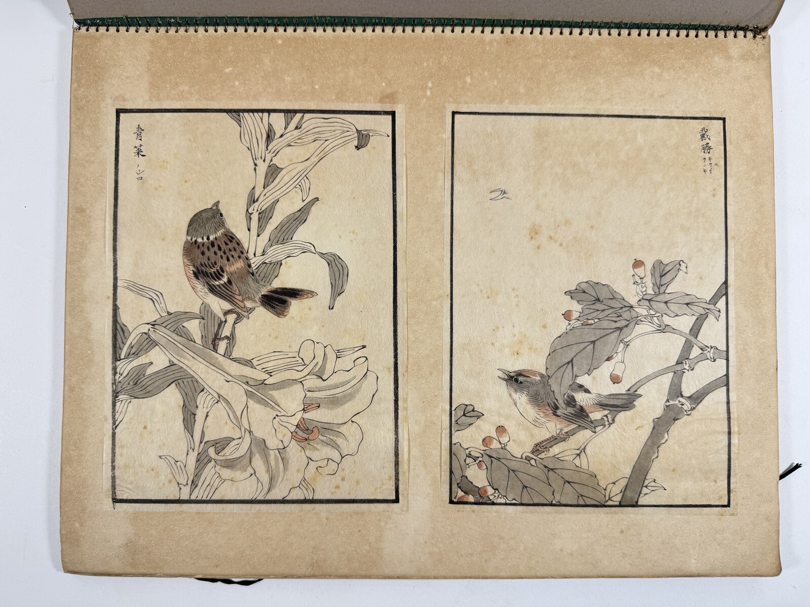 Japanese Drawing Book “Kachoshu” Picture of birds and flowers 49 ...
