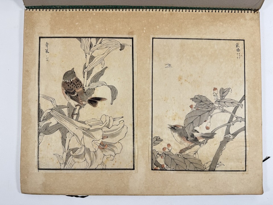 Japanese Drawing Book “Kachoshu” Picture of birds and flowers 49 ...
