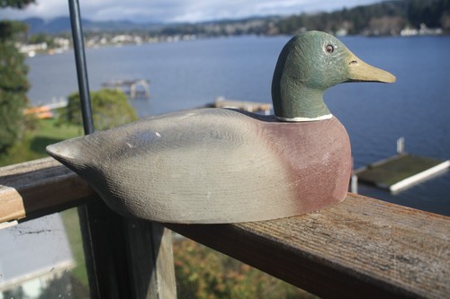 Mallard Drake decoy by Herter's, solid wood body,glass eyes, OP. | eBay