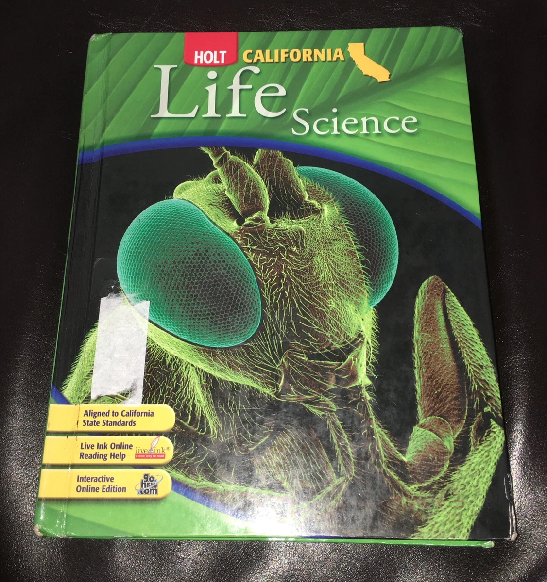 7th Grade Science Textbook Holt