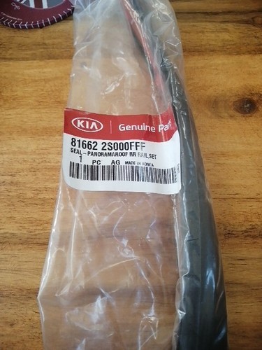 Kia Panoramic Roof Seal 816622S000 | eBay UK