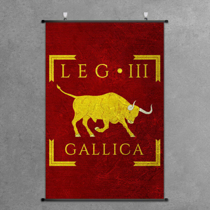 Roman Legion Bull Flag