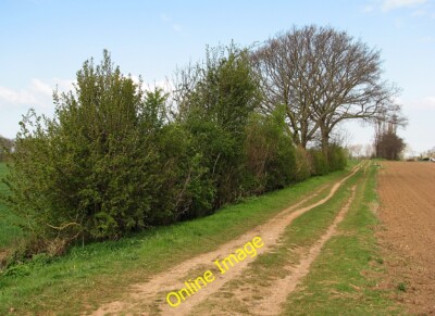 Photo 6x4 Path to Babraham Mid-way between Babraham (ahead) and Little ...