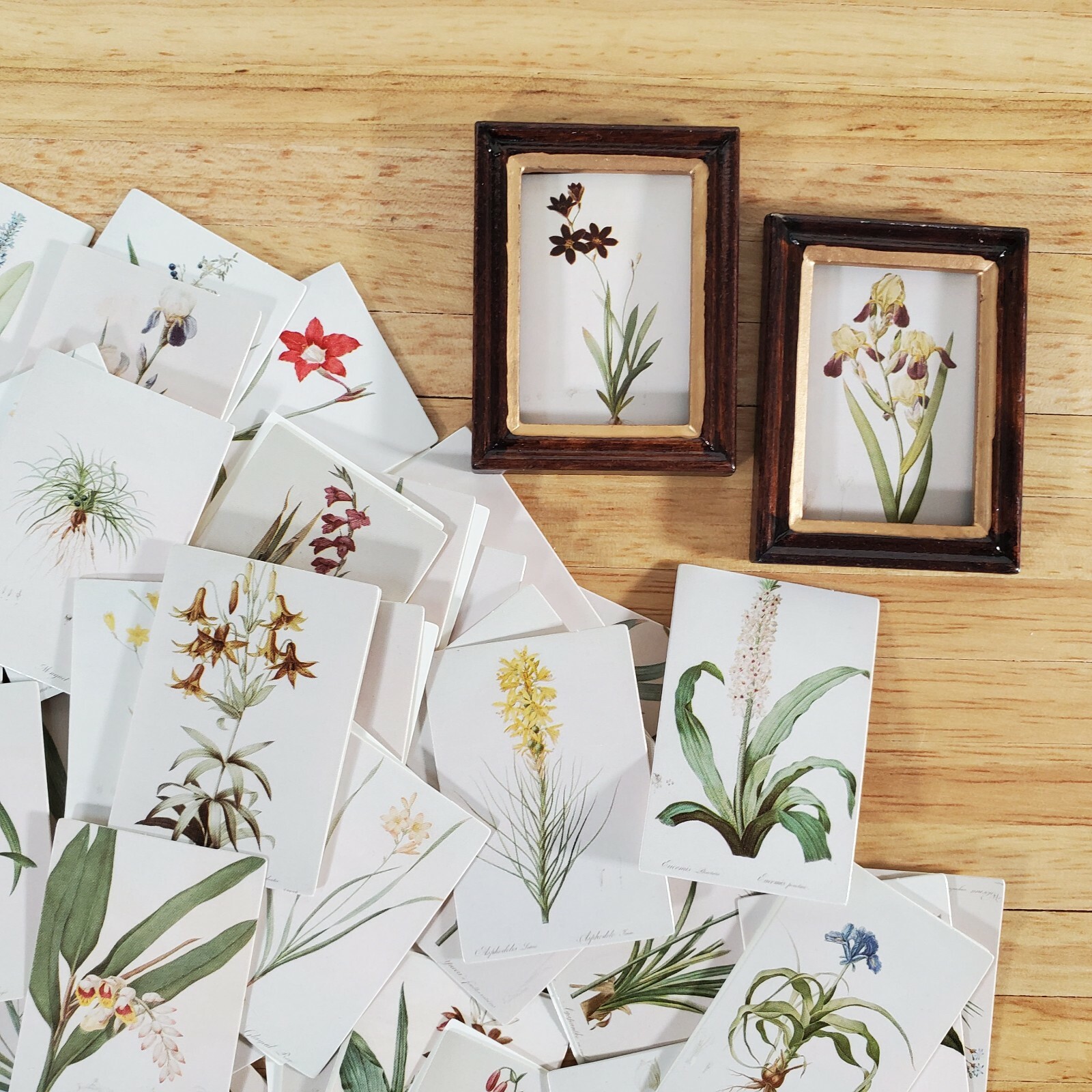 100 Mini Nature Botanical Prints Cardstock Flowers Floral Vintage ...