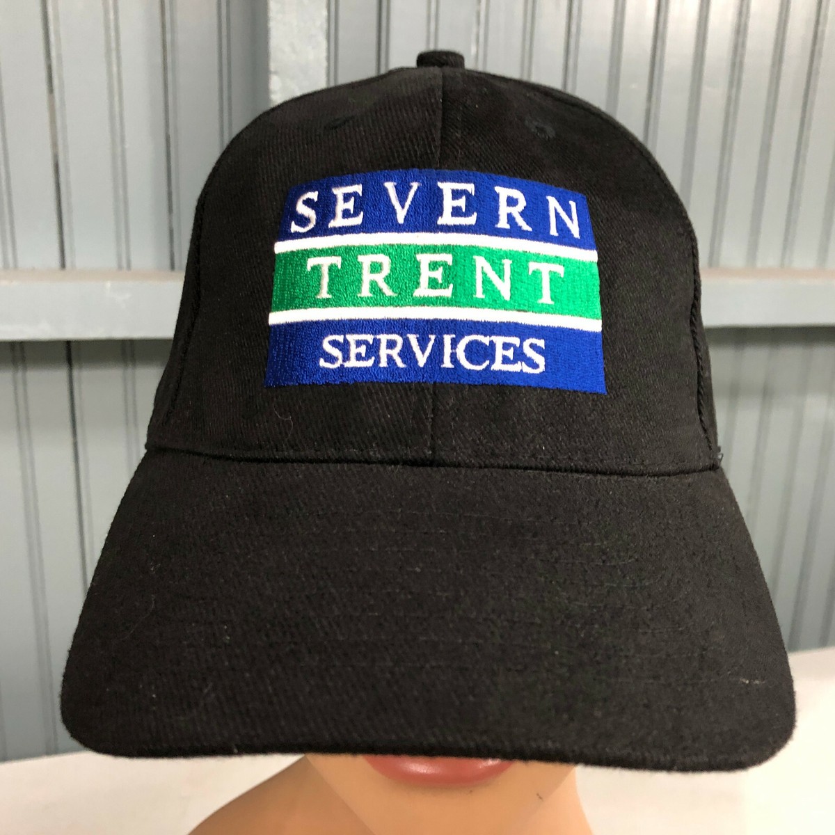 Severn Trent Services Logo Severn Trent Services की