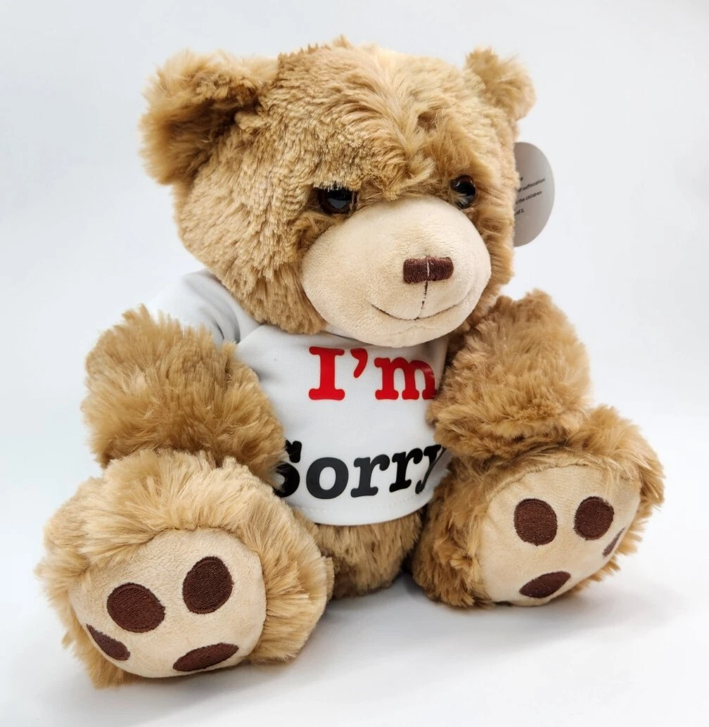 Sorry With Cute Teddy Bear