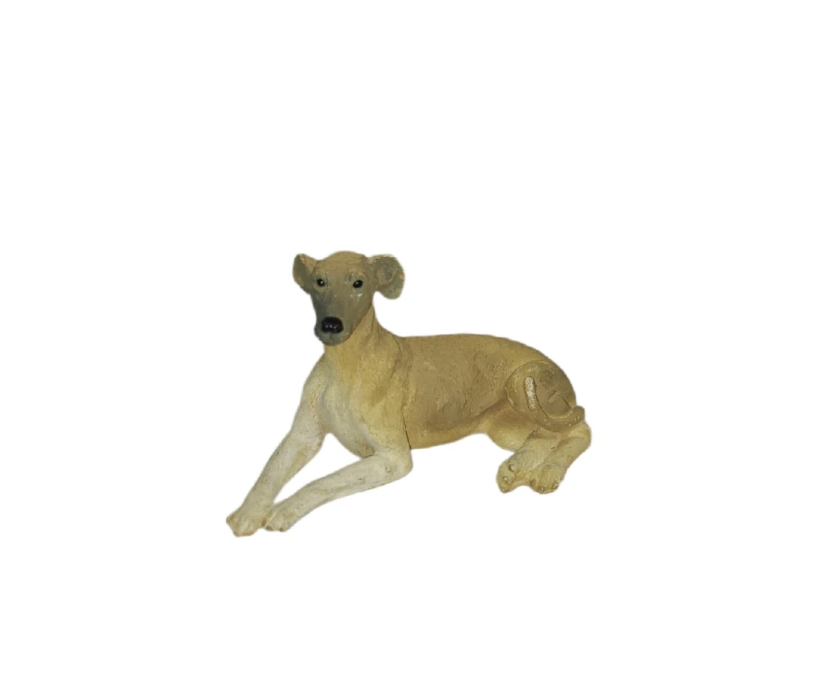 Fawn Greyhound Puppy