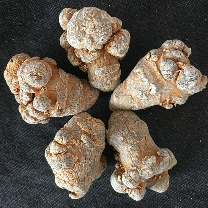 500g Big Radix Panax Notoginseng Sanqi Root Sanchi Tienchi Ginseng | eBay