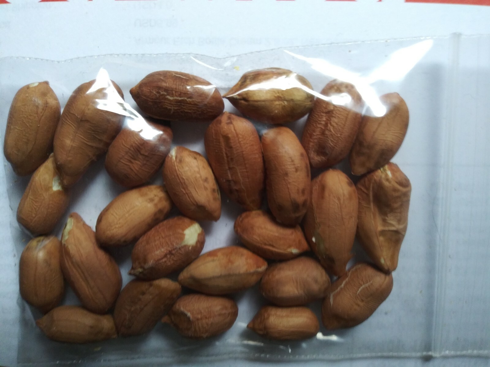 Peanut Seeds Jumbo Virginia Organic Seeds Vegetable Garden Plant 25 | eBay