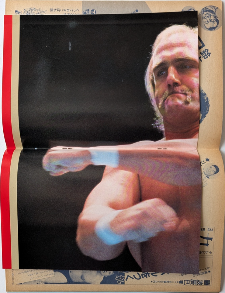 Pro Wrestling Album No.40 Hulk Hogan 1984 | eBay