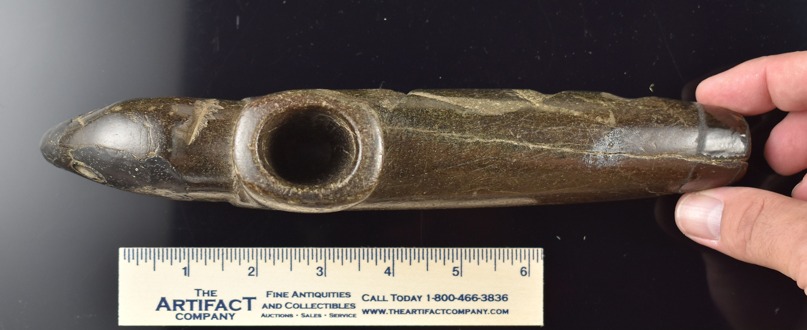 MUSEUM QUALITY - Dr. Walker's 10 1/8" Turtle Effigy Great Pipe - Jackson COA | eBay