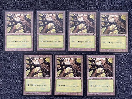 Forest x14 LP-MP Tempest MTG Magic the Gathering Basic Lands | eBay