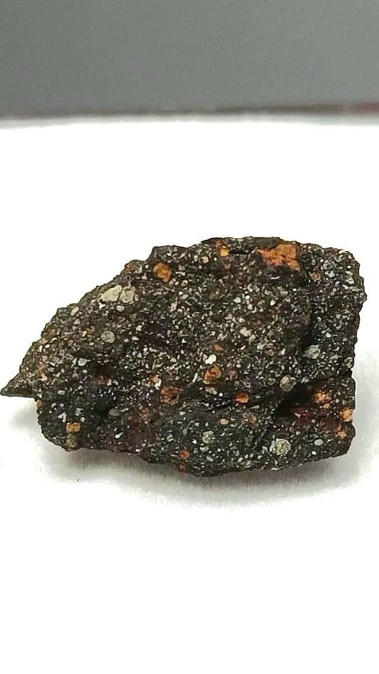 Murchison Meteorite Large 17mm X 10mm | eBay