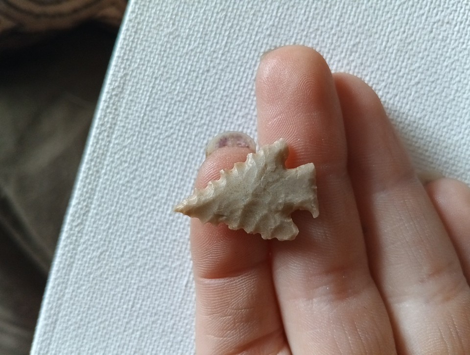 Serrated Point #1 Oregon Authentic Native Artifact | eBay
