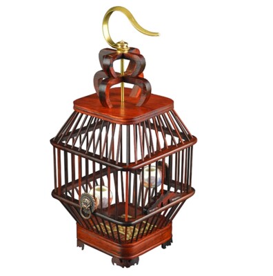 Rosewood Cricket Grasshopper Cage Little Pet Animal Display Container ...