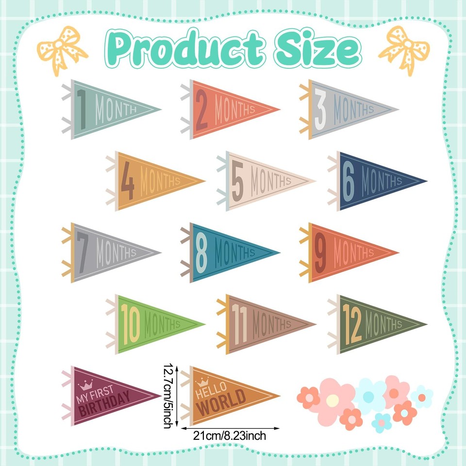 14 Pcs Baby Felt Pennant Milestone Signs Monthly Milestone Banner Flags ...