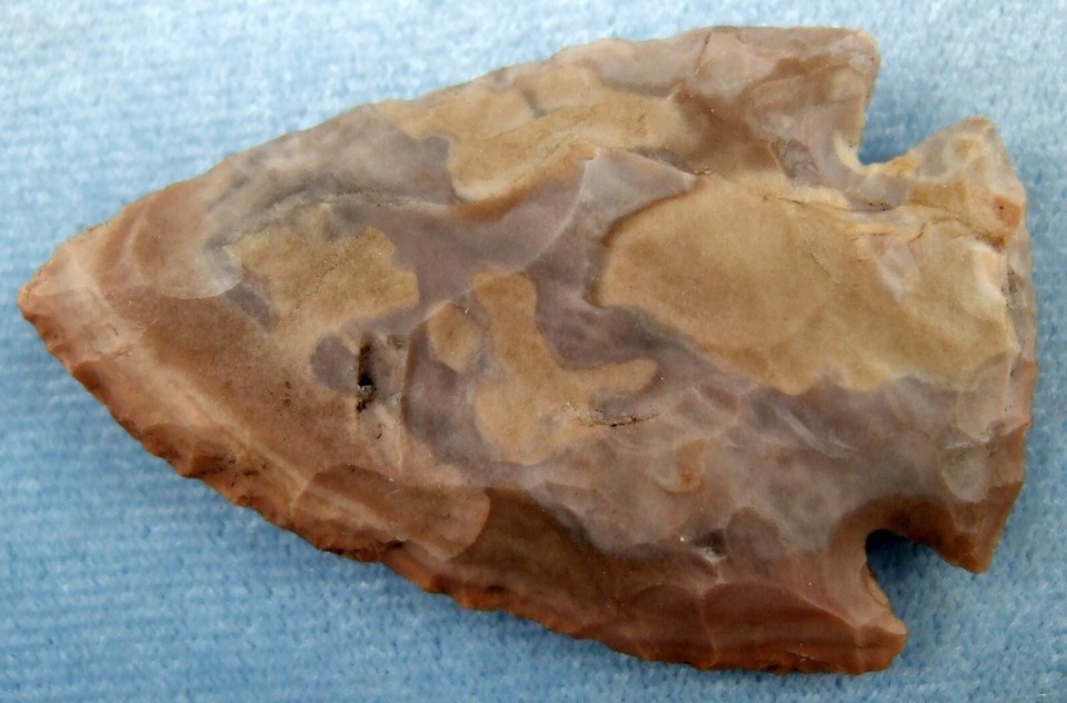 Fine Old Authentic Missouri Paoli Flint Pine Tree Point with COA ...