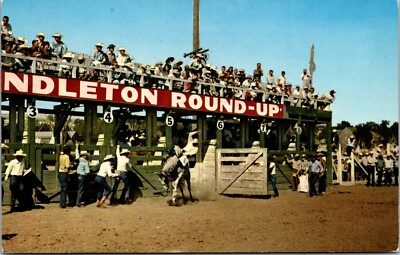 VINTAGE POSTCARD PENDLETON ROUND-UP PENDLETON OREGON UNPOSTED 1960'S | eBay
