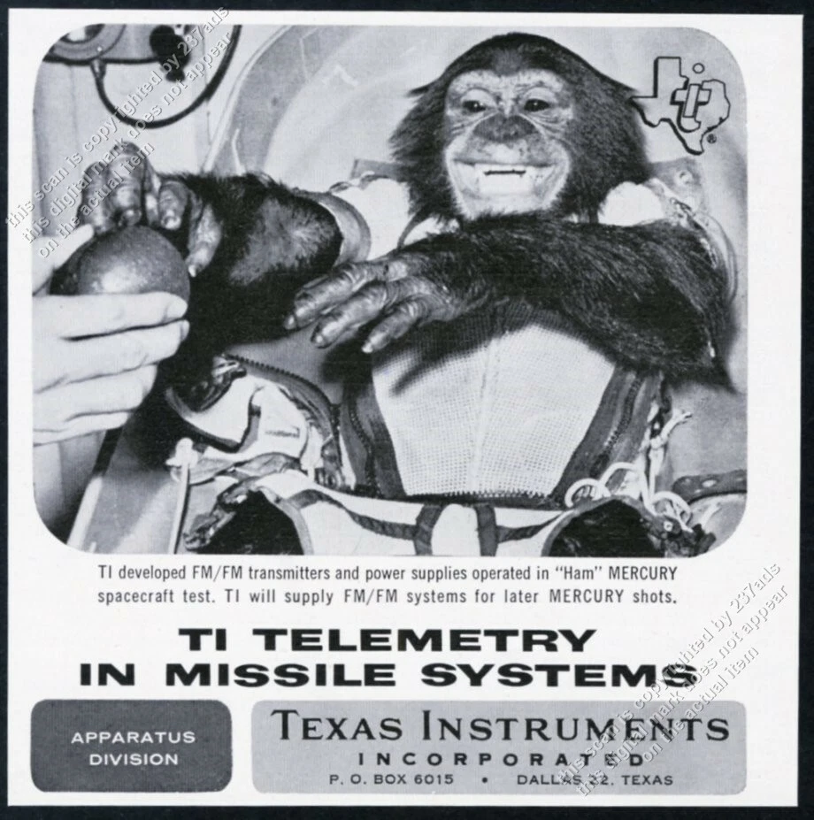 First Monkey In Space Ham